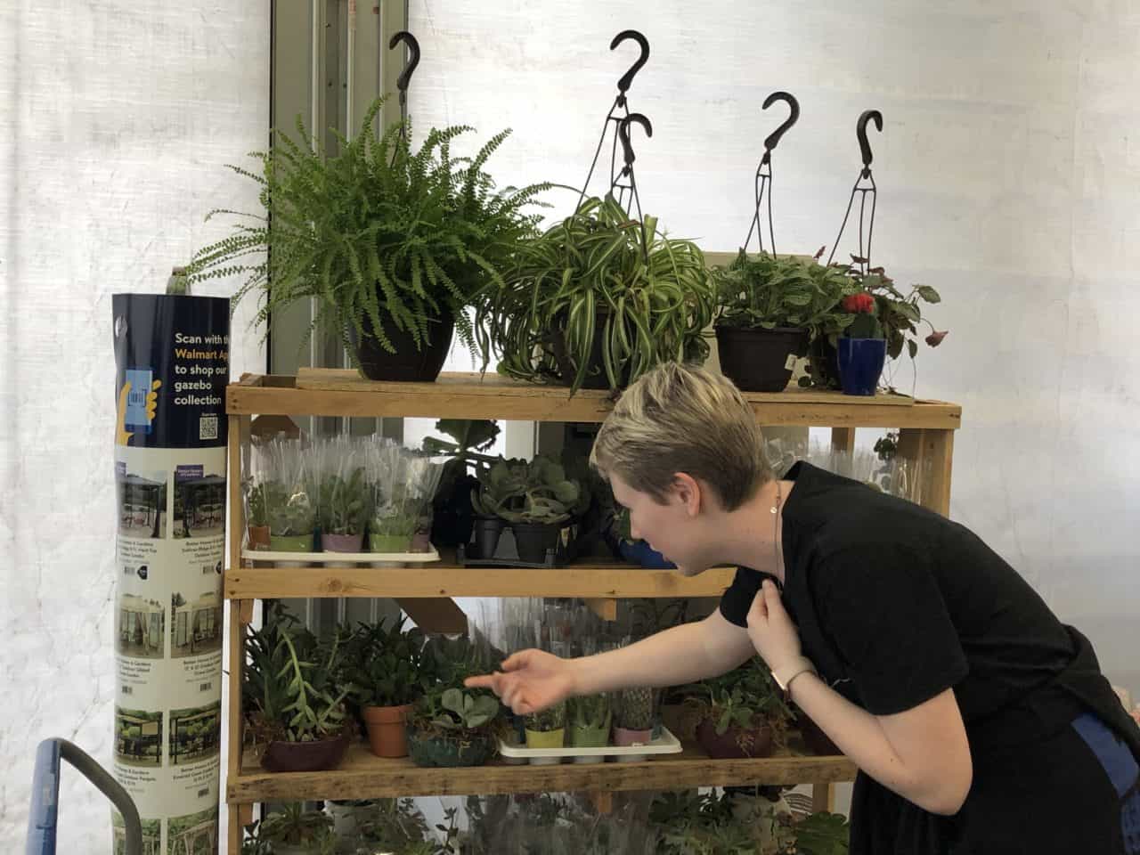 Today I Took My Daughter to College - Amanda Seghetti