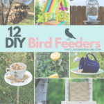 7 Fun Earth Day Activities For Kids in 2026