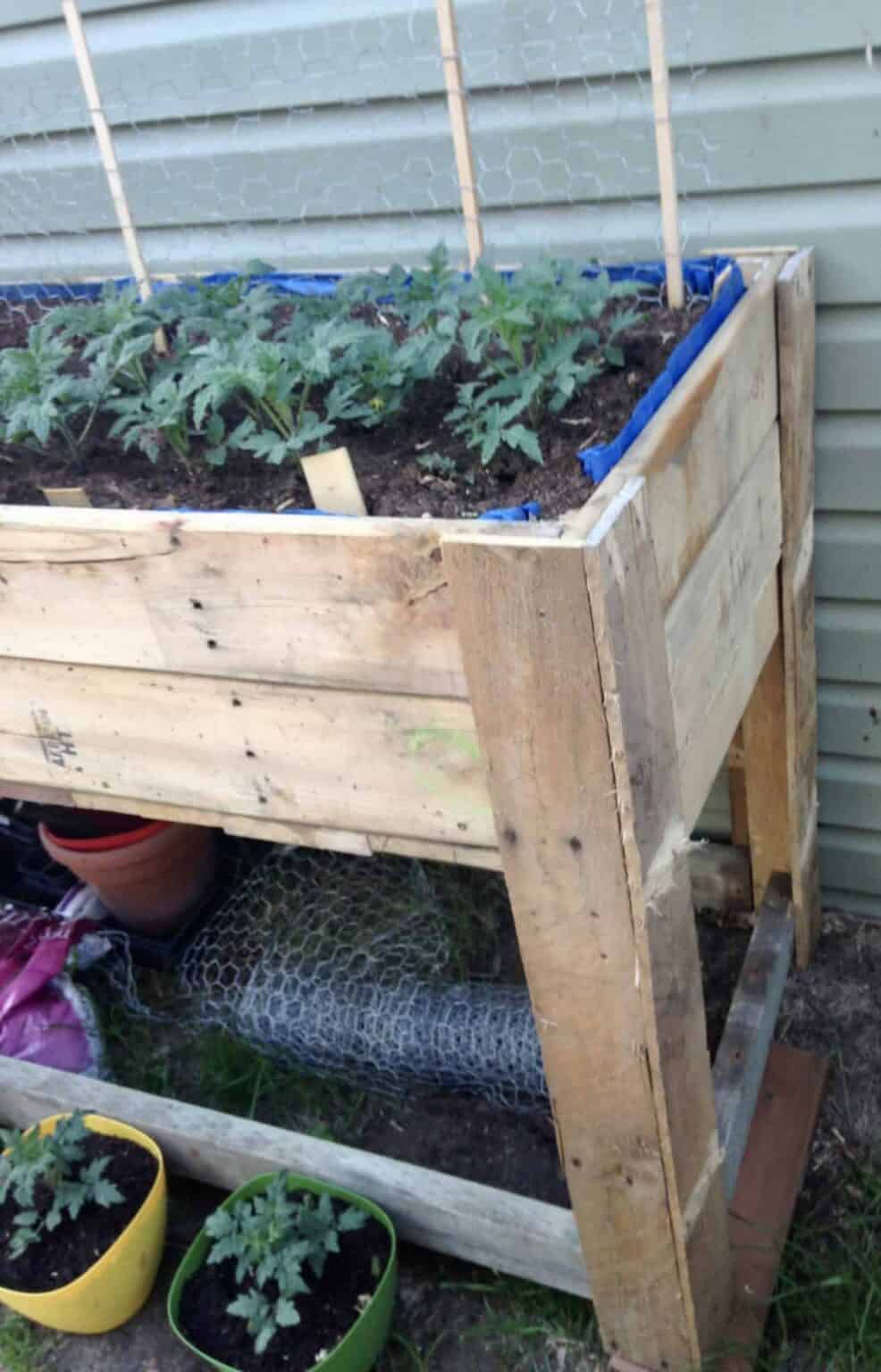 DIY Raised Garden Bed Using Pallets - Amanda Seghetti