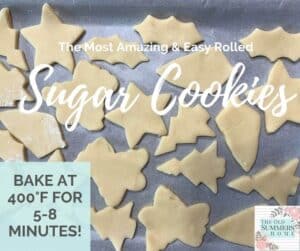 Healthy Family Lifestyle - Amanda Seghetti