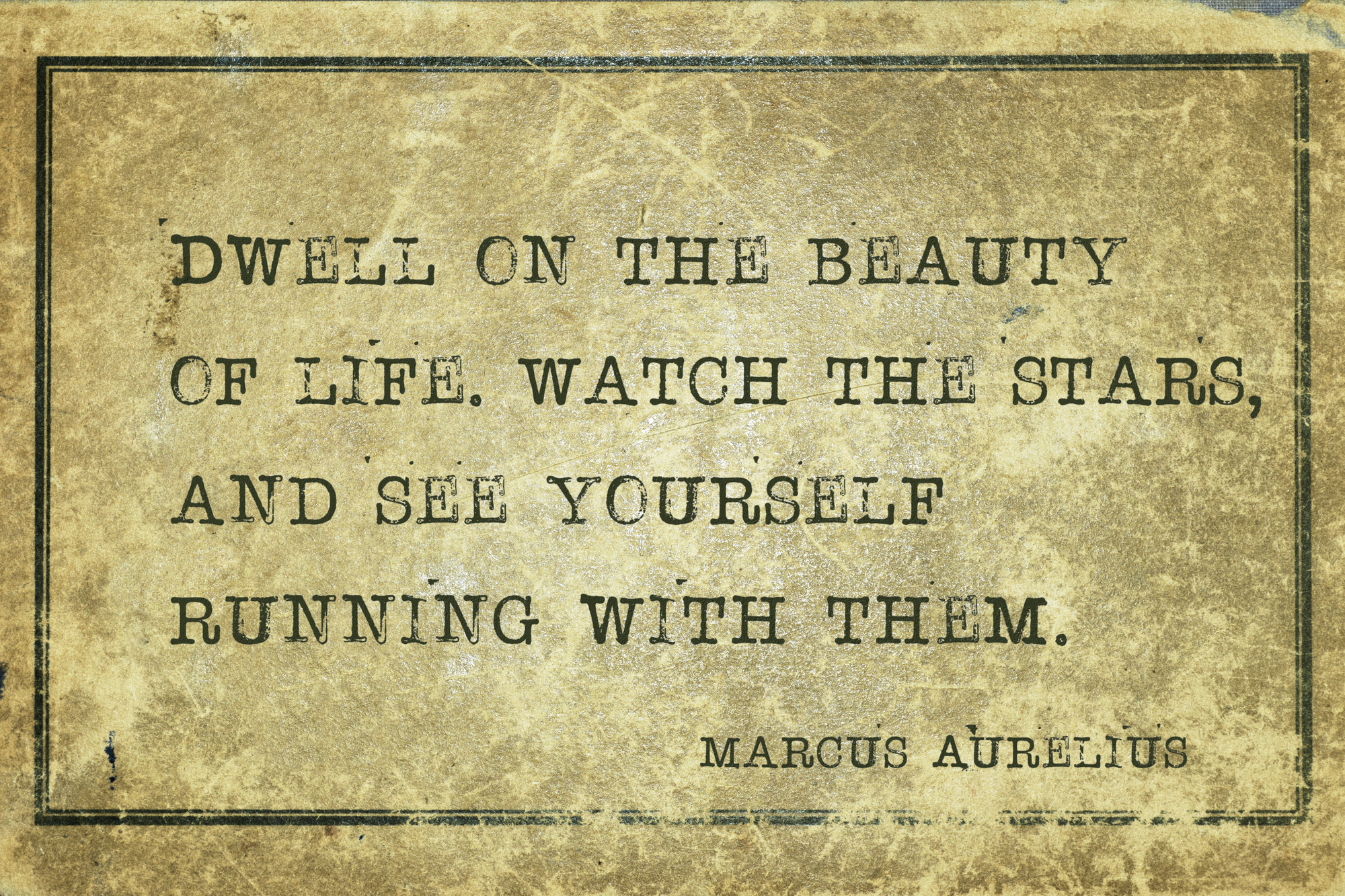 77 Best Running Quotes for Instagram Captions in 2026